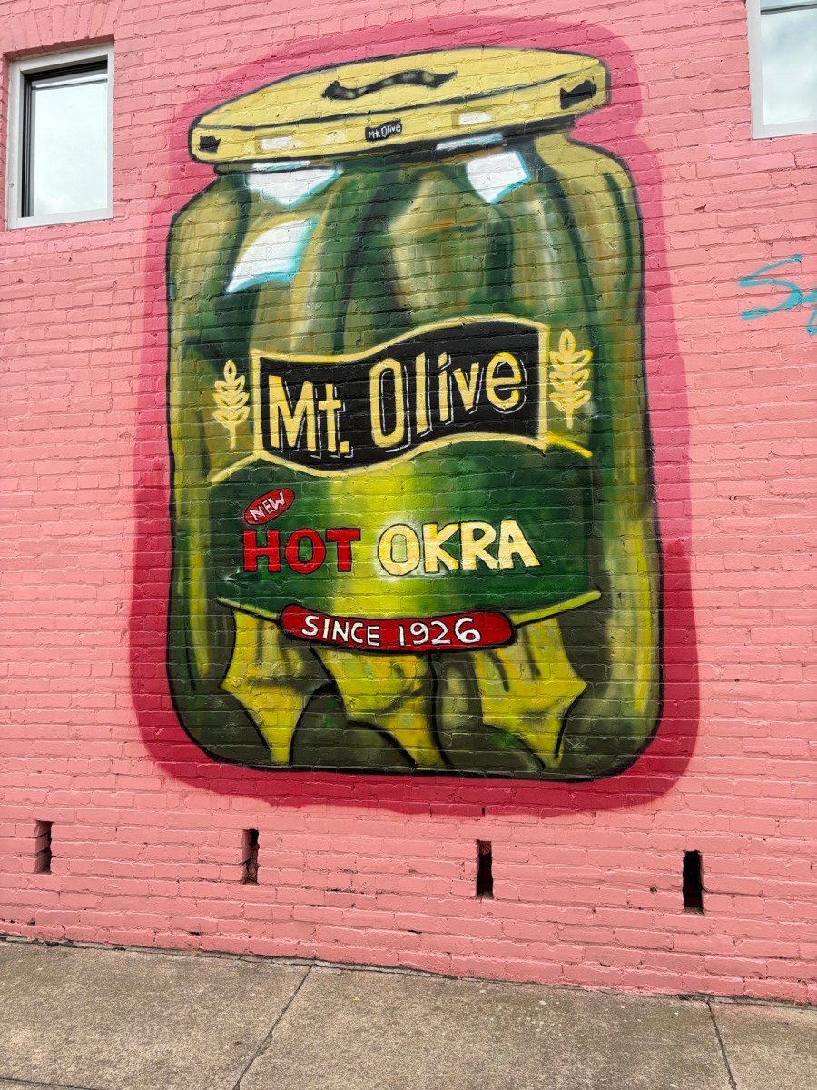 north carolina pickle festival – brand new kind of photography